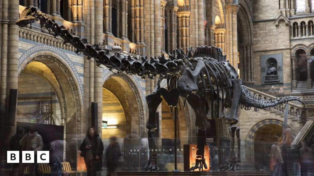 Dippy the dinosaur is on tour in Glasgow - BBC Newsround