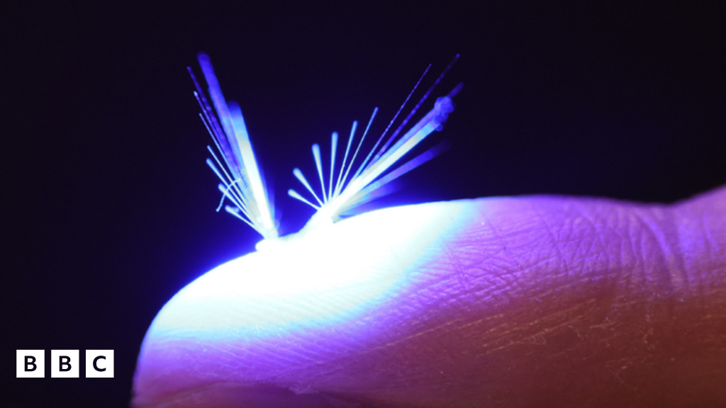 Scientists create tiny flying robot powered by wind and light - BBC ...