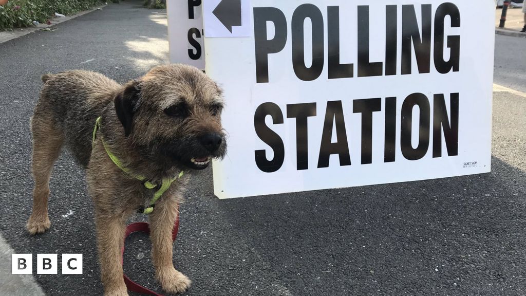 #Dogsatpollingstations: Pooches pose at polling stations - BBC Newsround