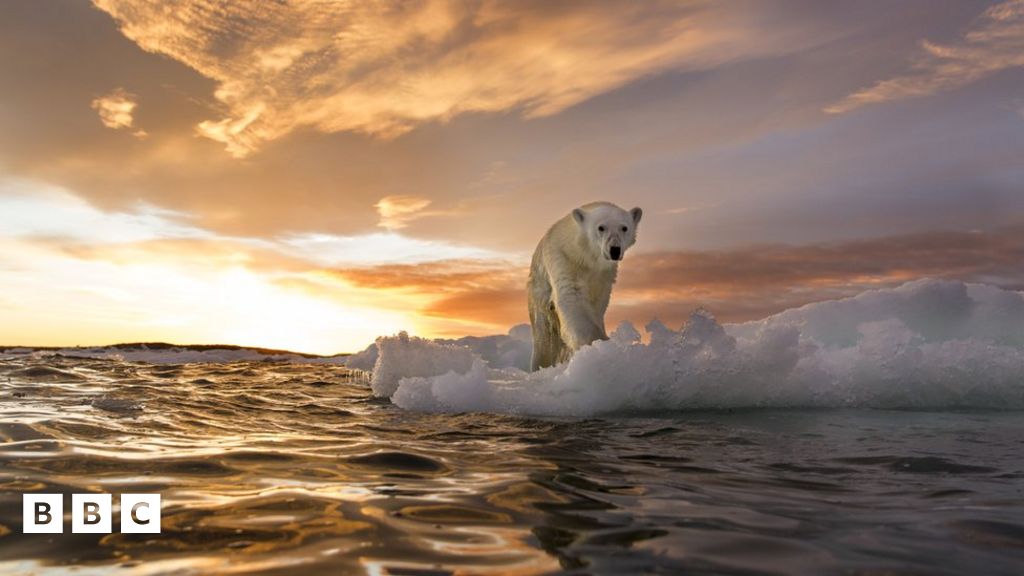 UN climate report: Plan to 'super-charge efforts' to stop climate ...