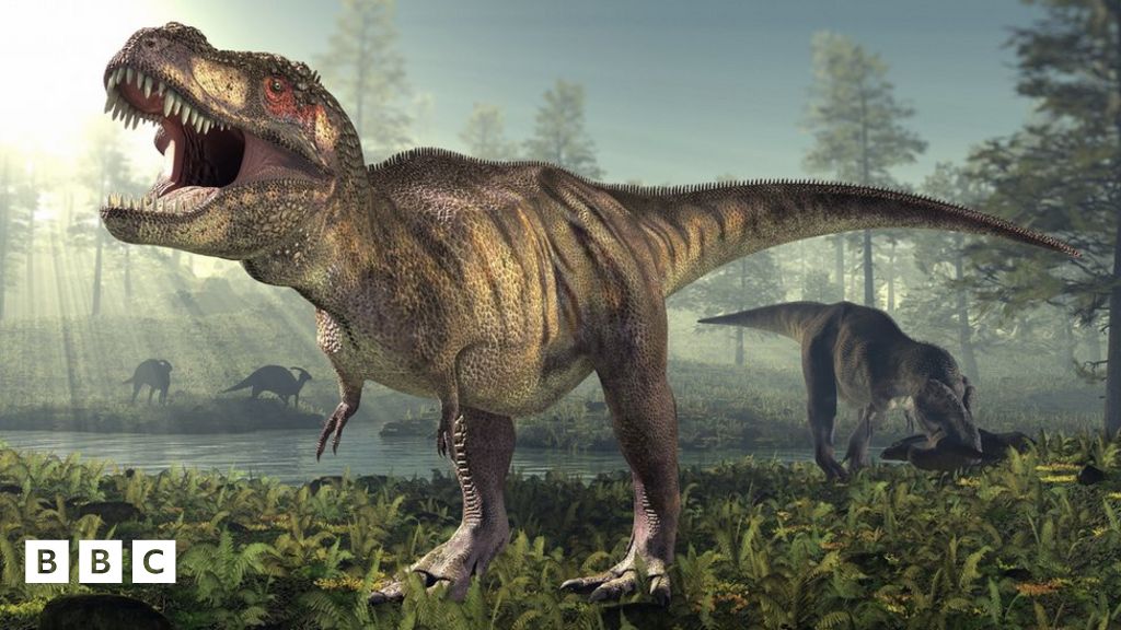 Was the Tyrannosaurus rex a picky eater? - BBC Newsround
