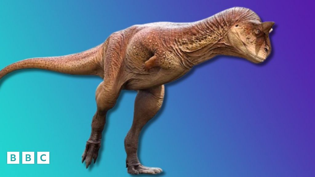 Rare fossilised skin of 'strangest dinosaur ever' discovered - BBC ...