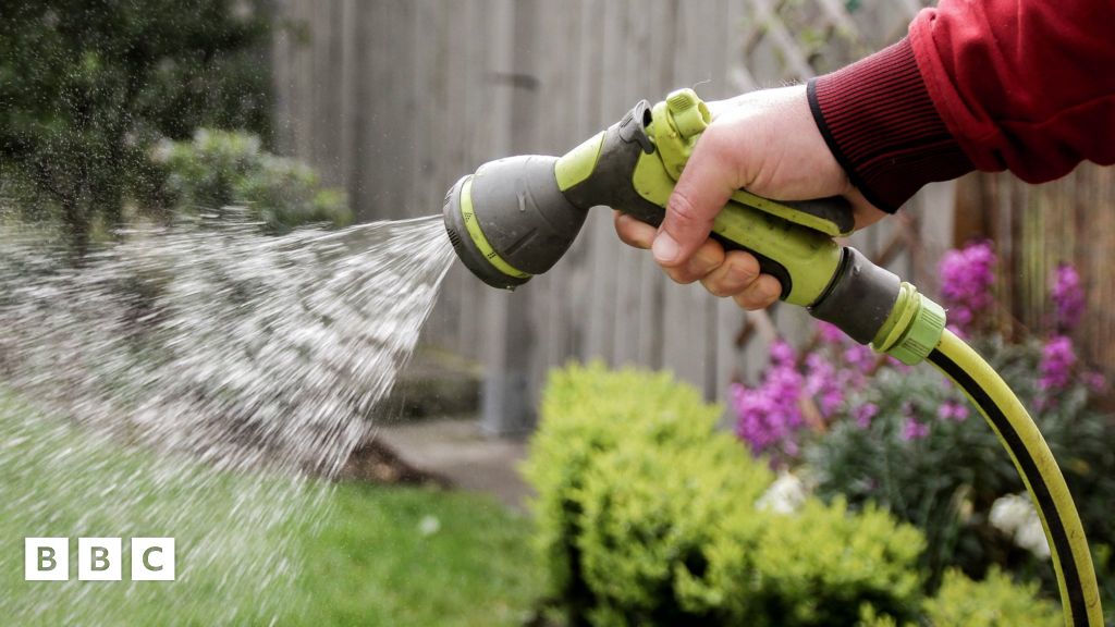 Hosepipe ban: Thames Water ban starts - BBC Newsround