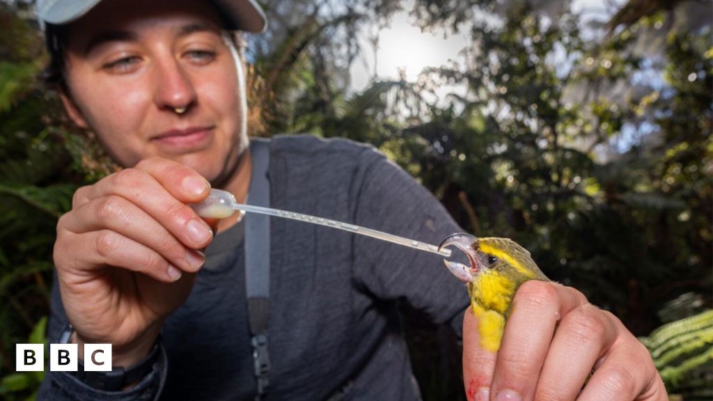 Award winning pictures of the natural world - BBC Newsround