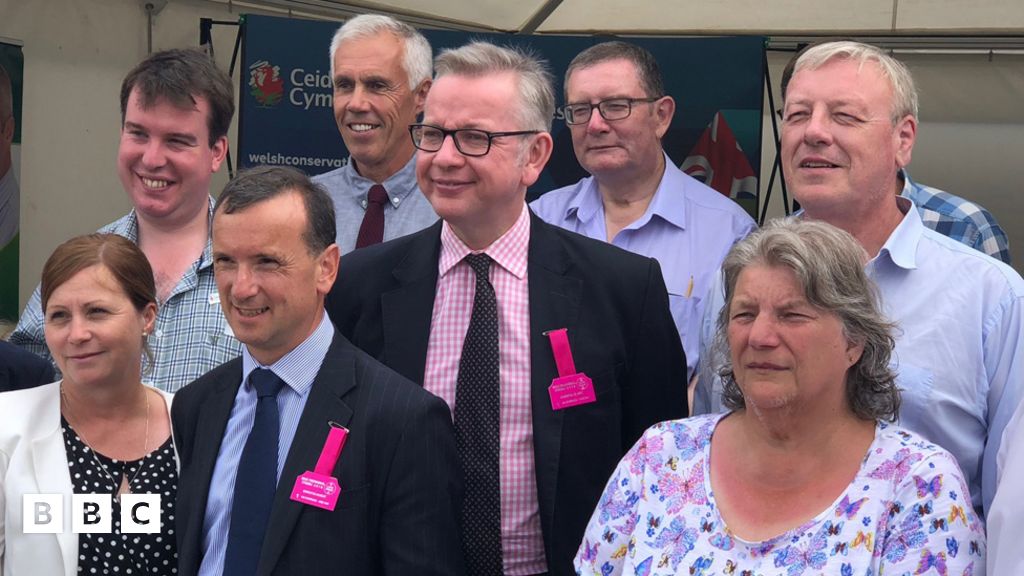 Masnach di-doll yn 'debygol', medd Michael Gove - BBC Cymru Fyw