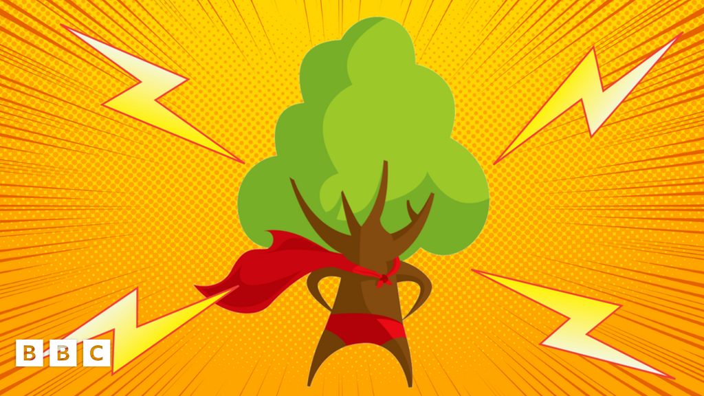 Here's why trees are real life superheroes! - BBC Newsround