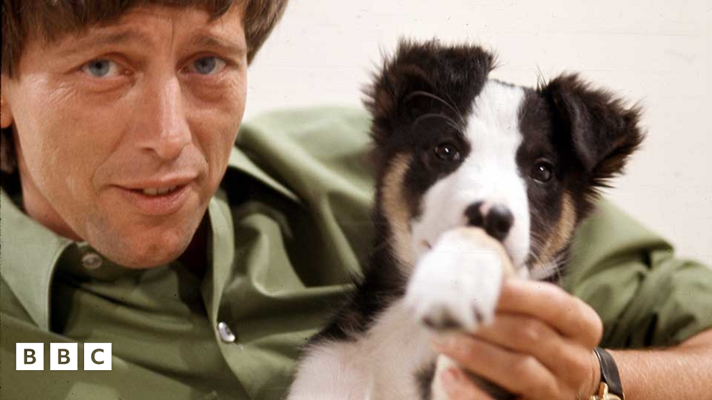 Archive Quiz: Blue Peter dogs - BBC
