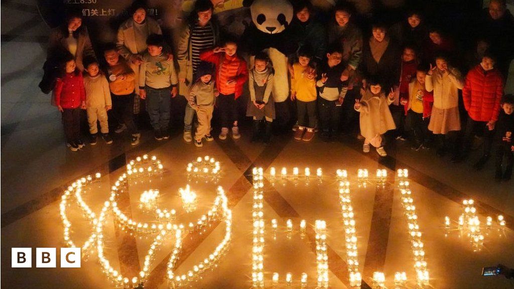 Earth Hour: Pictures from around the world - BBC Newsround