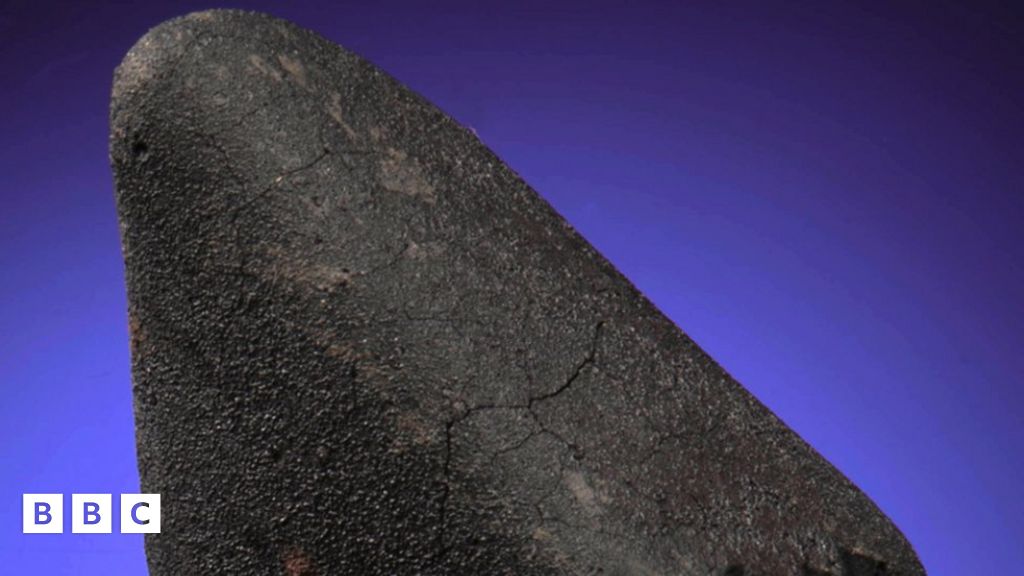 Meteorite that fell in the UK sells for £22,000 at auction - BBC Newsround