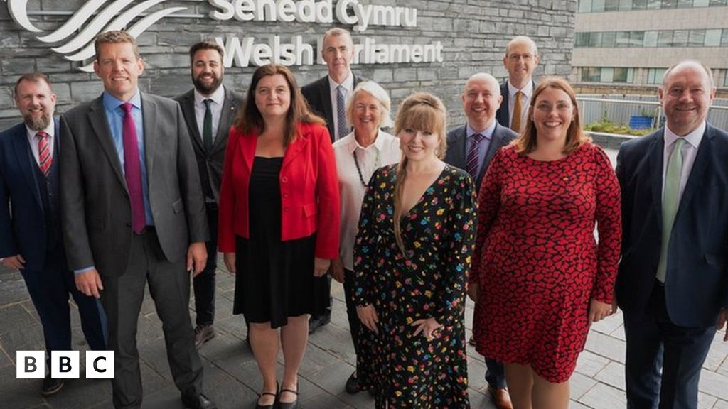 Cyhoeddi tîm newydd Plaid Cymru yn y Senedd - BBC Cymru Fyw