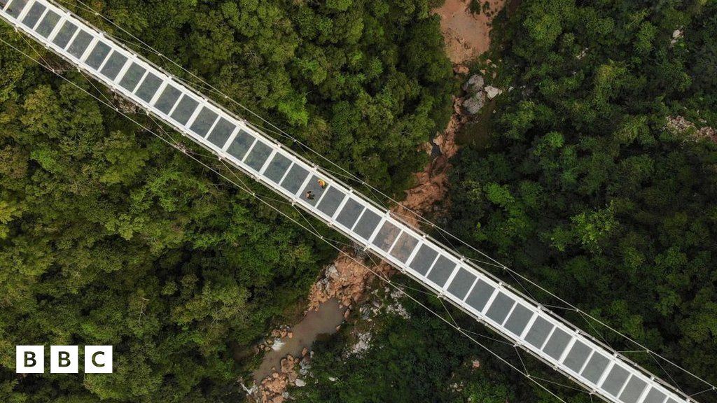World's largest see-through bridge opens in Vietnam - BBC Newsround