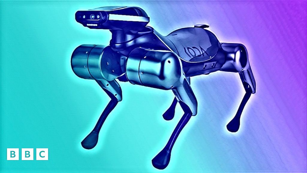 This robot dog knows how you're feeling - BBC Newsround