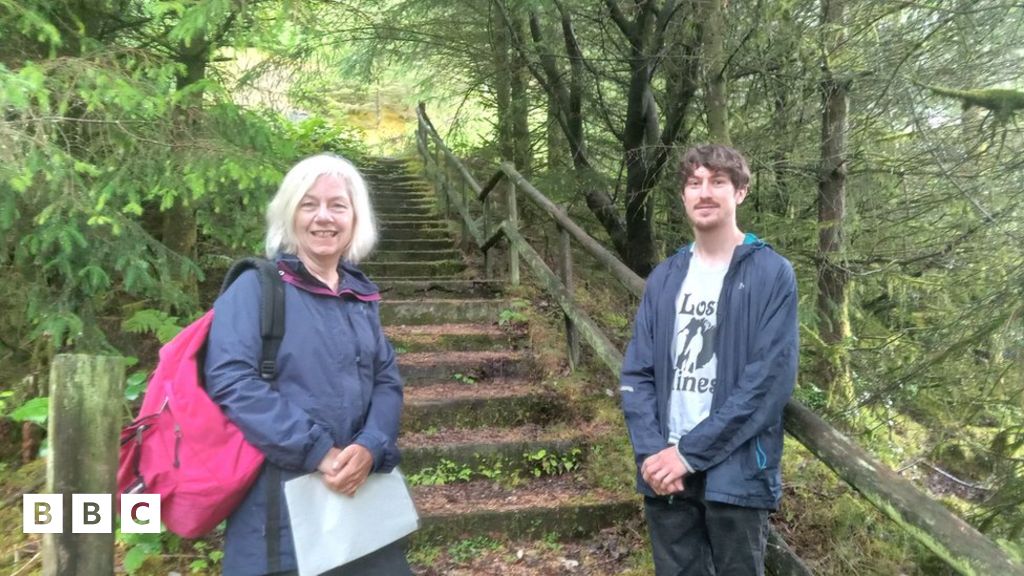 Angen diogelu olion hen ddiwydiant 'cyn ei bod yn rhy hwyr' - BBC Cymru Fyw