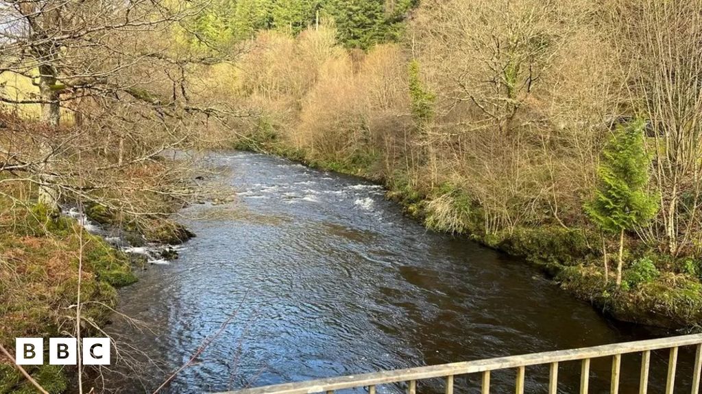 Chwilio Afon Mawddach am ddyn aeth ar goll cyn y Nadolig - BBC Cymru Fyw