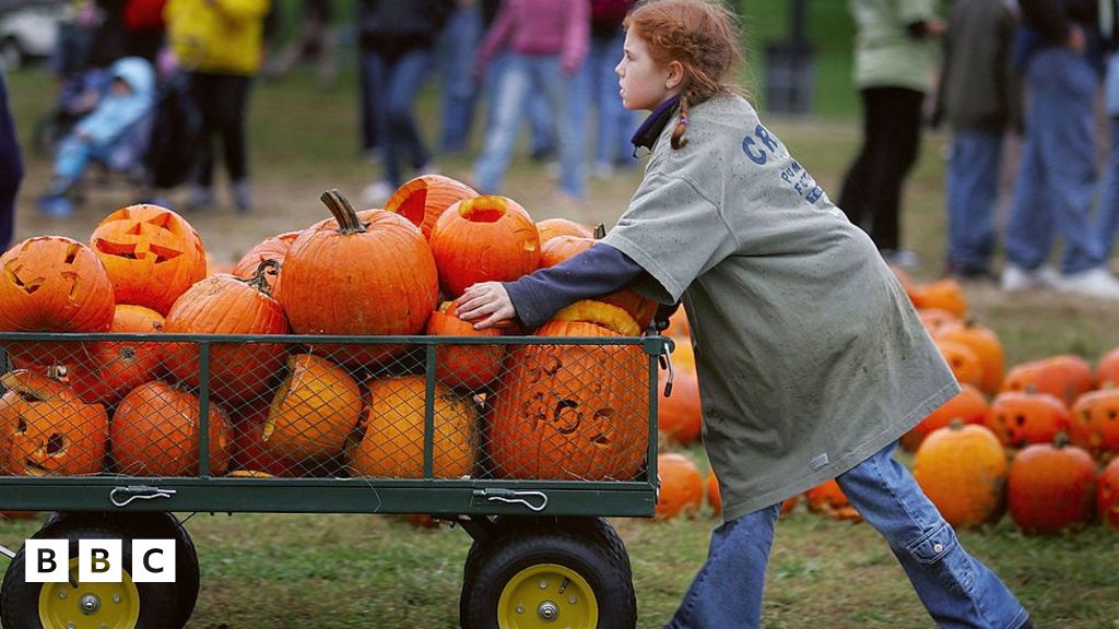 Halloween pumpkins: What should I do with the leftovers? - BBC Newsround