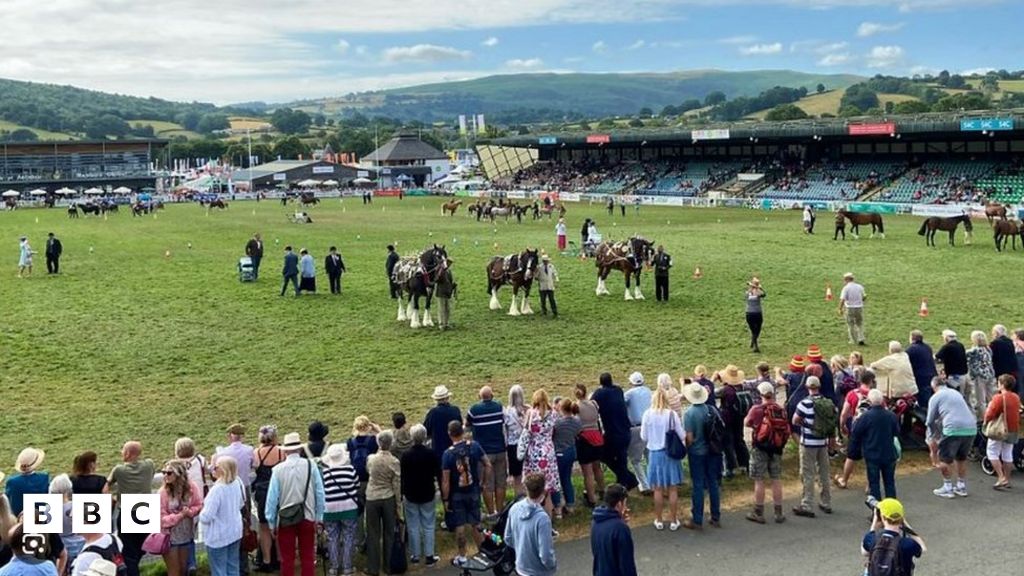 Sioe Frenhinol 2024 i gael Pentref Garddwriaethol - BBC Cymru Fyw