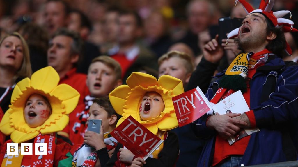 Cyngor i deithwyr cyn gêm rygbi Cymru v Tonga - BBC Cymru Fyw