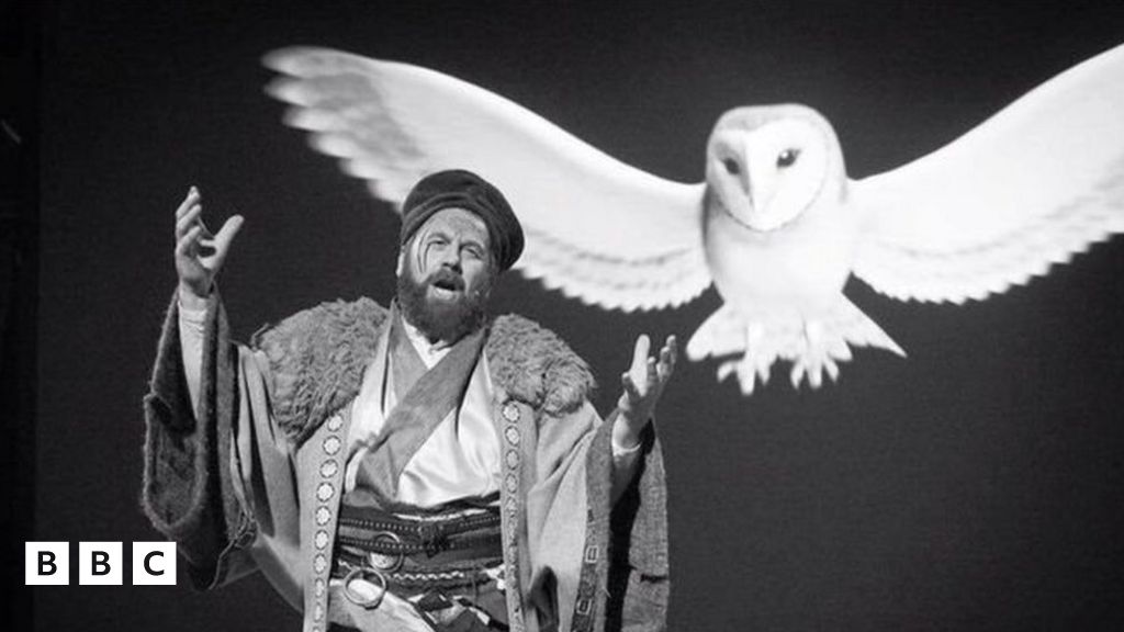 Ble mae'r gynulleidfa Gymraeg? - BBC Cymru Fyw