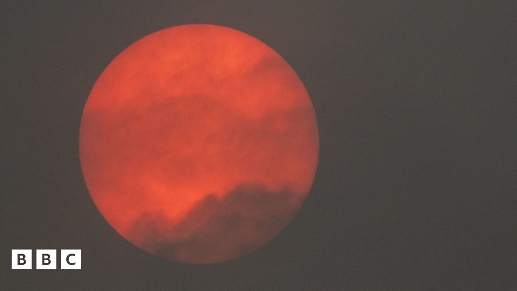 Why did the Sun turn red? - BBC Newsround