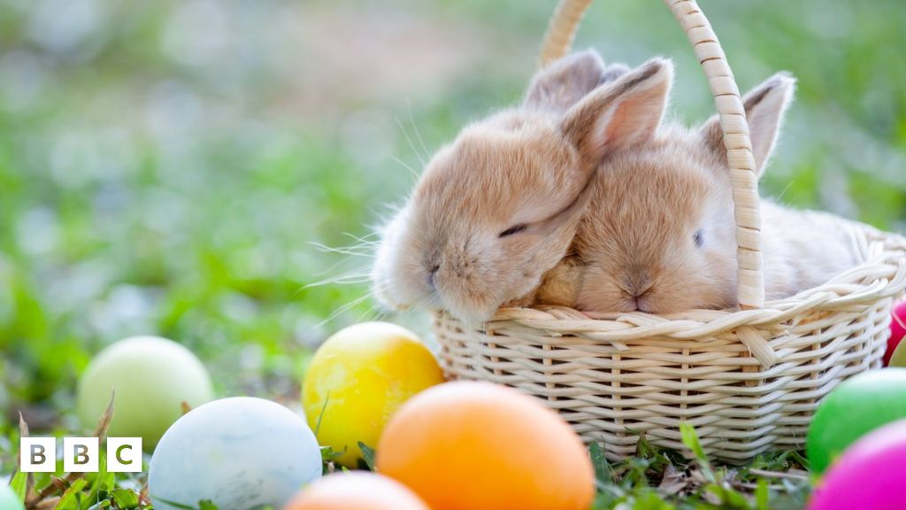 Easter quiz: How much do you know about Easter? - BBC Newsround