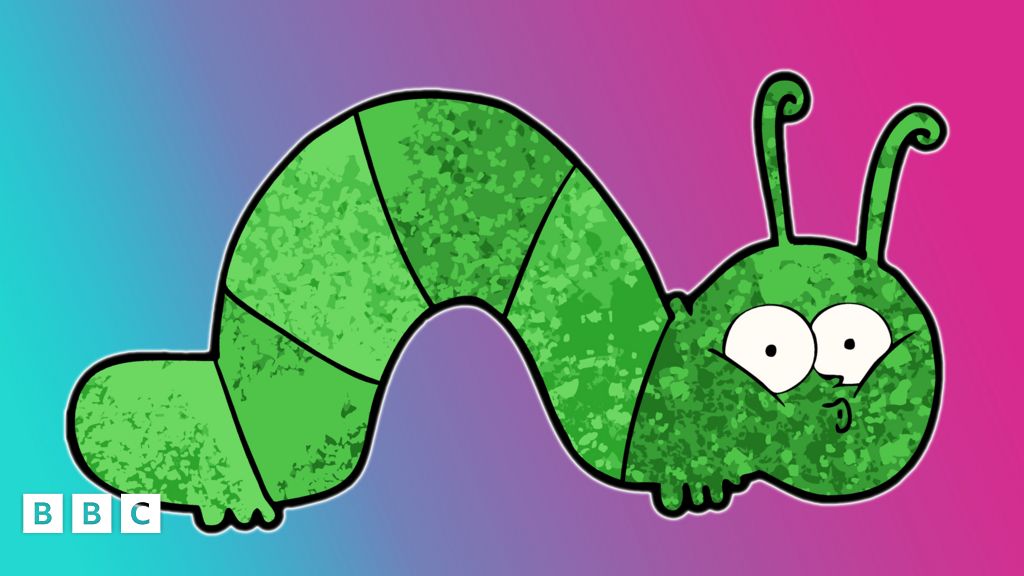 Are insects facing extinction? - BBC Newsround