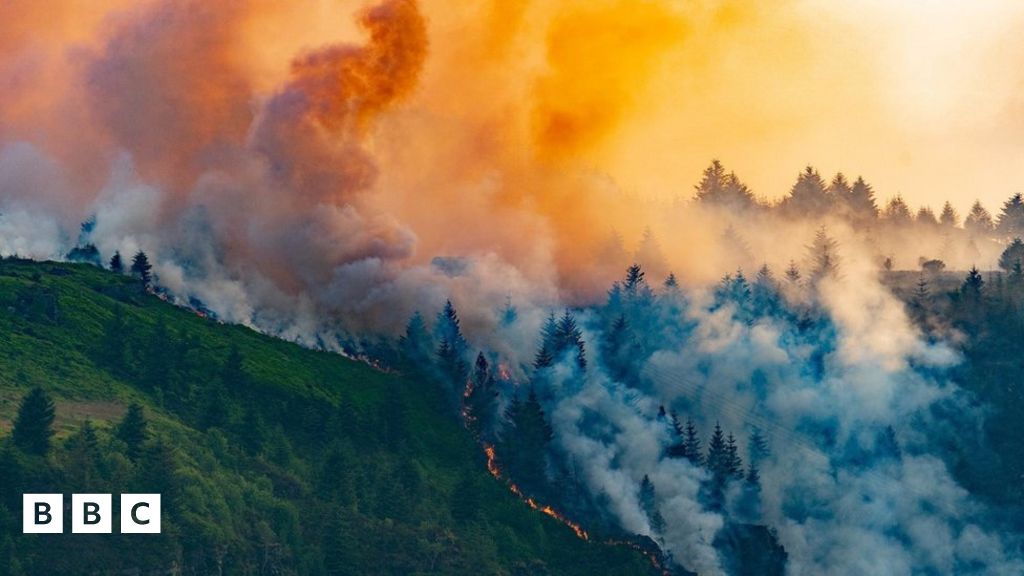 Firefighters tackling large wildfires in south Wales - BBC Newsround