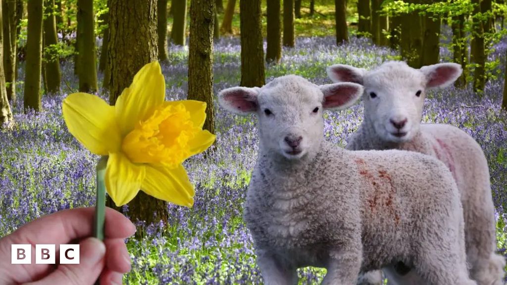 BBC Archive Quiz: Signs of Spring - BBC