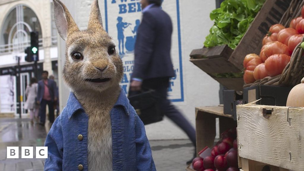 Peter Rabbit 2: Everything we know so far - BBC Newsround