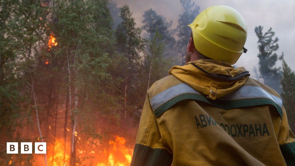 Russia forest fires: New report shows damage worst since records began ...