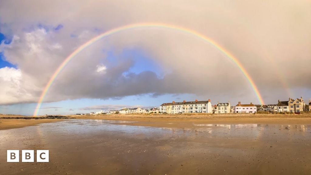 Oriel: arwyddion cynta'r gwanwyn - BBC Cymru Fyw