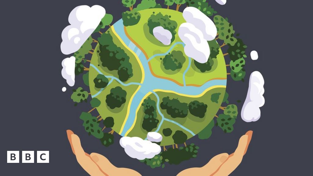 Climate change: The Woodland Trust launches million tree planting ...