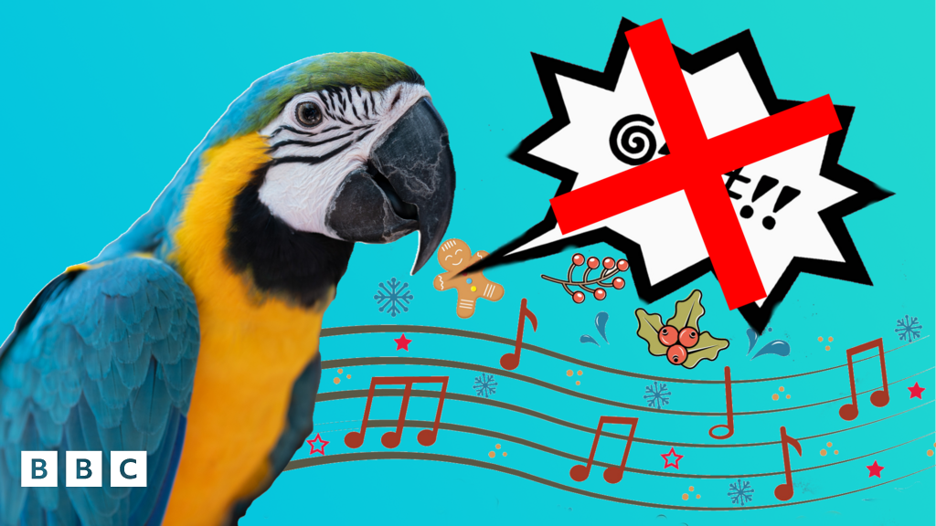 Lincolnshire's swearing parrots turn to Christmas tunes - BBC Newsround
