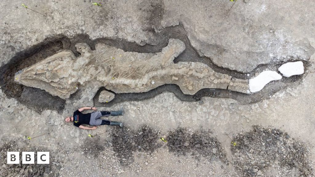 UK's biggest ever prehistoric sea dragon discovered - BBC Newsround