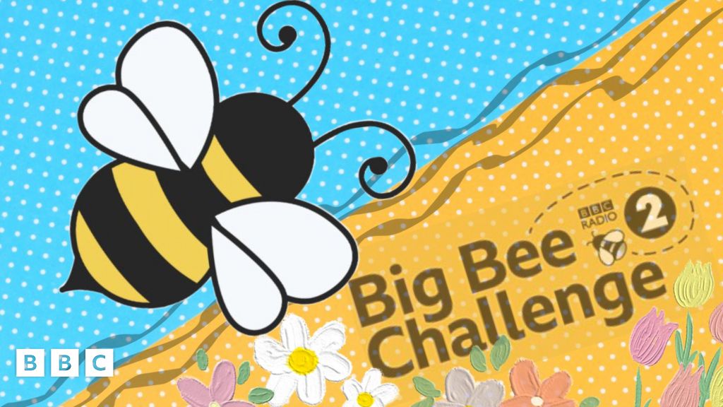 Big Bee Challenge: BBC Radio 2 launch garden design competition - BBC ...
