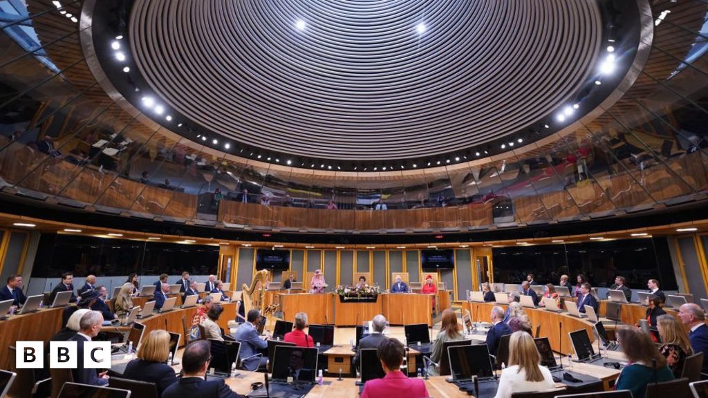 Cynllun ar gyfer Senedd fwy yn 'ergyd i bleidiau llai' - BBC Cymru Fyw