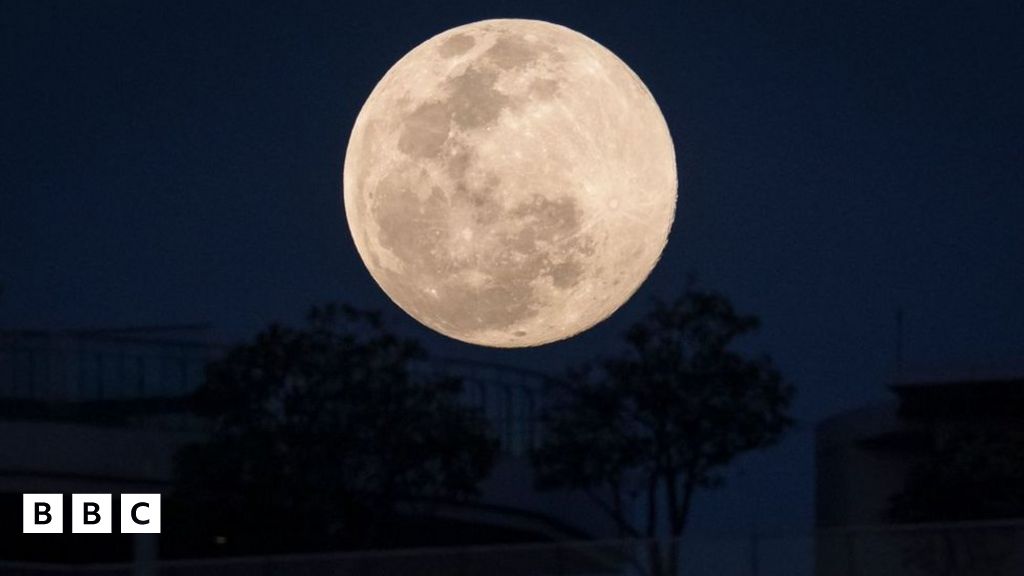Wolf Moon: Check out the view from around the world - BBC Newsround