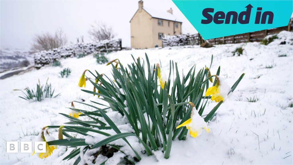 Weather: Has it snowed where you are? - BBC Newsround