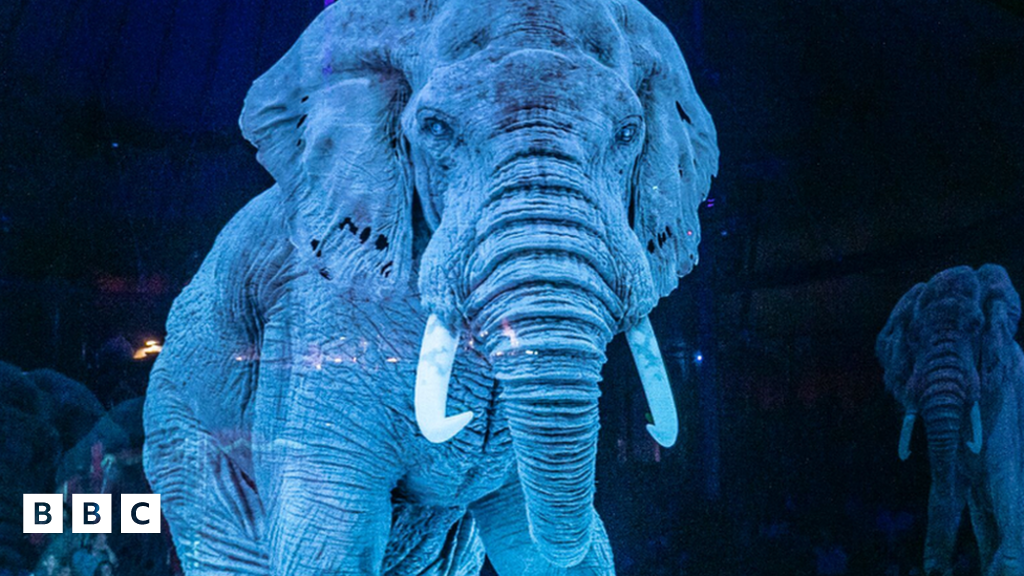 A German circus uses holograms instead of animals and it looks amazing ...