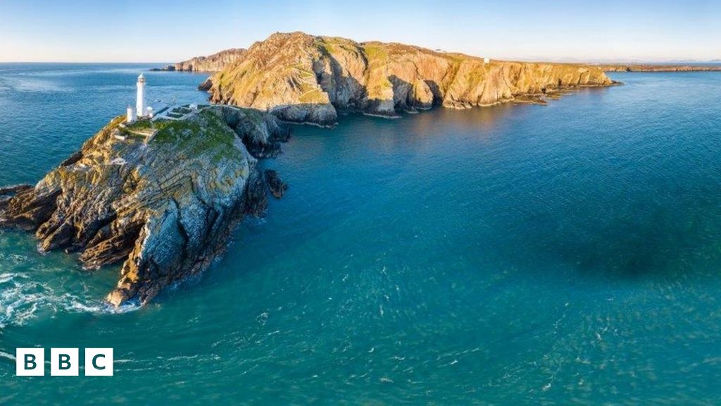 Sicrhau safle i brosiect ynni llanw oddi ar Ynys Cybi - BBC Cymru Fyw