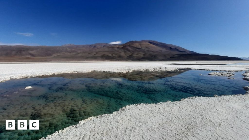 Rare rocks could give glimpse into first life on Earth - BBC Newsround