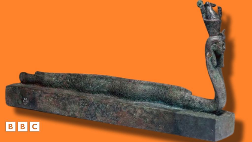 Ancient mummified pets found after thousands of years - BBC Newsround