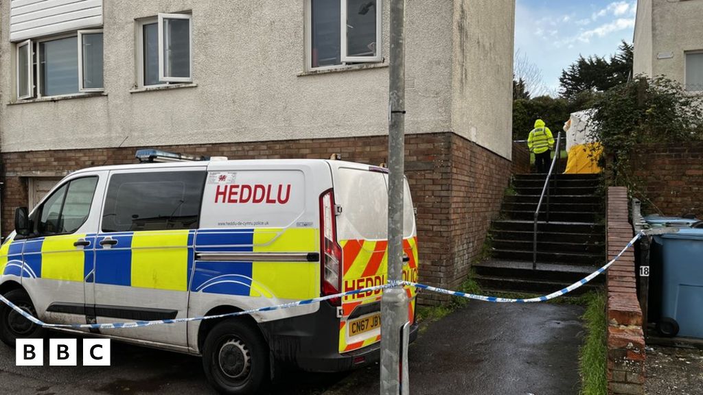 Rhyddhau dau ar fechnïaeth mewn cysylltiad â marwolaethau babanod - BBC ...