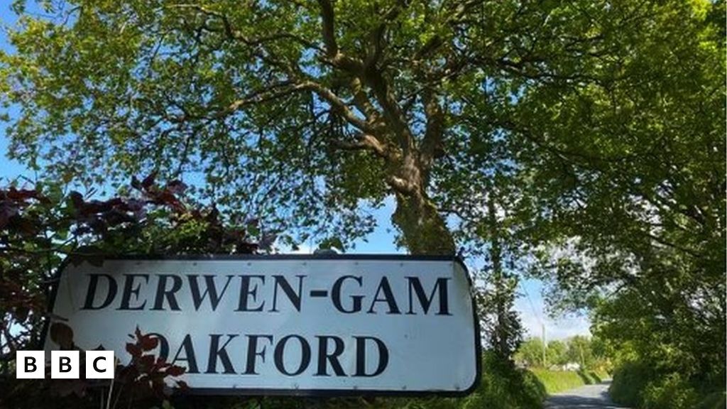 'A welest ti'r prynwyr yn nhref Derwen-gam?' - BBC Cymru Fyw