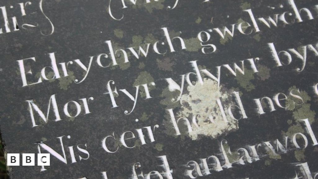 Achub englynion bedd gyda ‘shaving foam’! - BBC Cymru Fyw