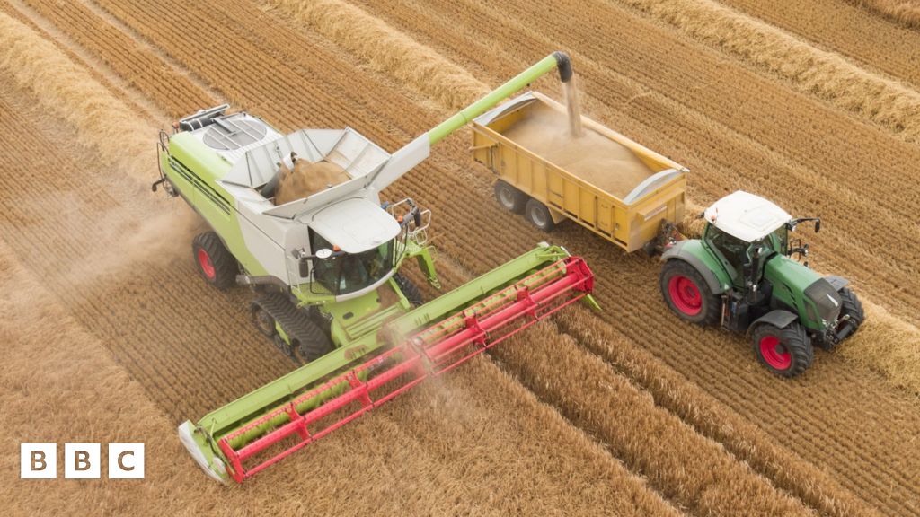 Harvest Festival: Are you doing anything to celebrate? - BBC Newsround