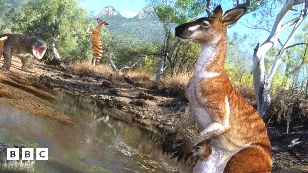 Monster kangaroos, lizards and crocs once roamed Australia - BBC Newsround