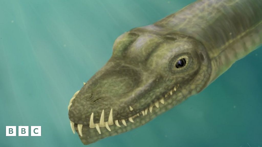 Dinosaurs: Scientists say 'crocodile with a very long neck' lived in water 240 million years ago ...