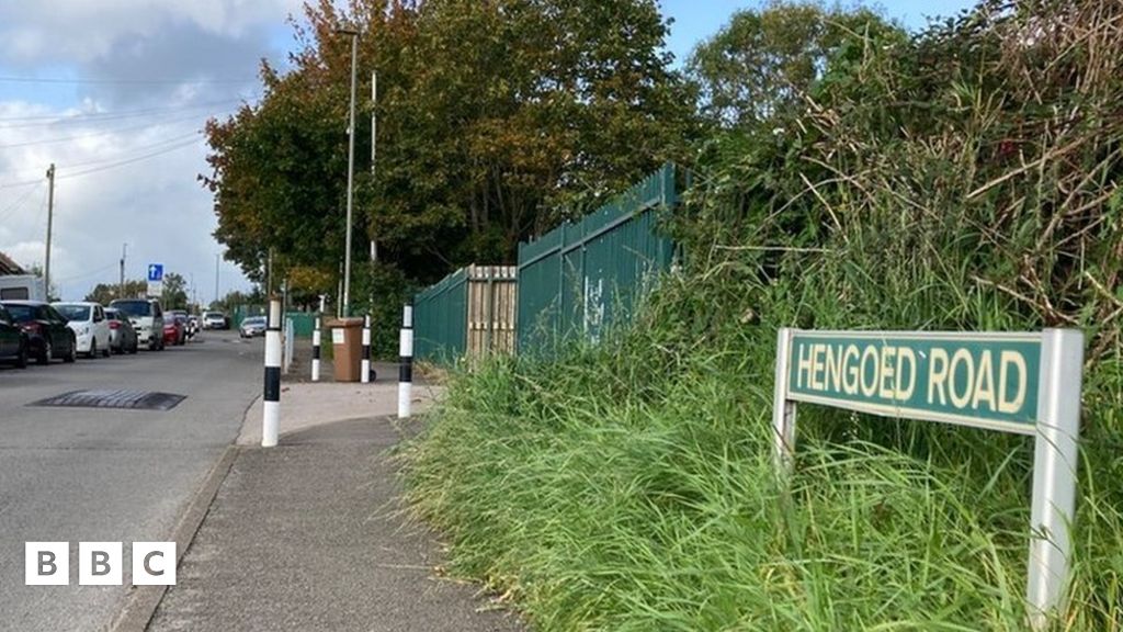 Bechgyn, 8 a 9, yn yr ysbyty gydag 'anafiadau tân gwyllt' - BBC Cymru Fyw