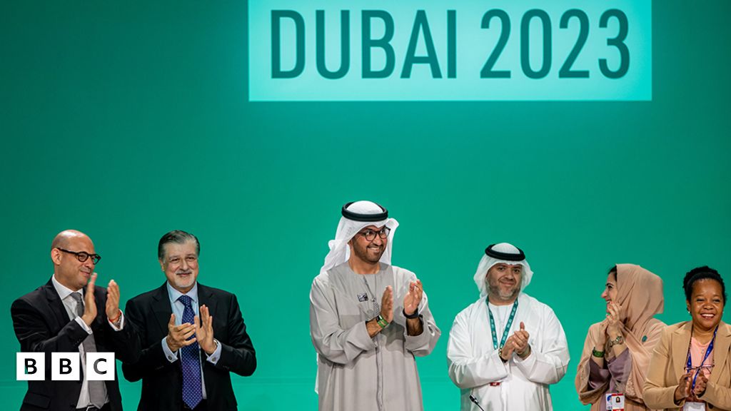 COP28 fossil fuel deal: What has happened at the climate summit? - BBC Newsround