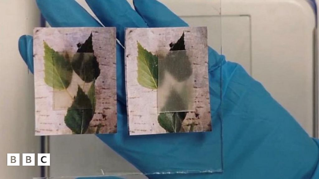 Scientists working on eco-friendly windows made from wood - BBC Newsround